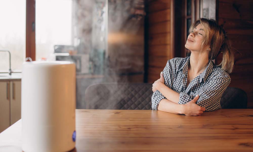 The Impact of Indoor Humidity on Air Quality